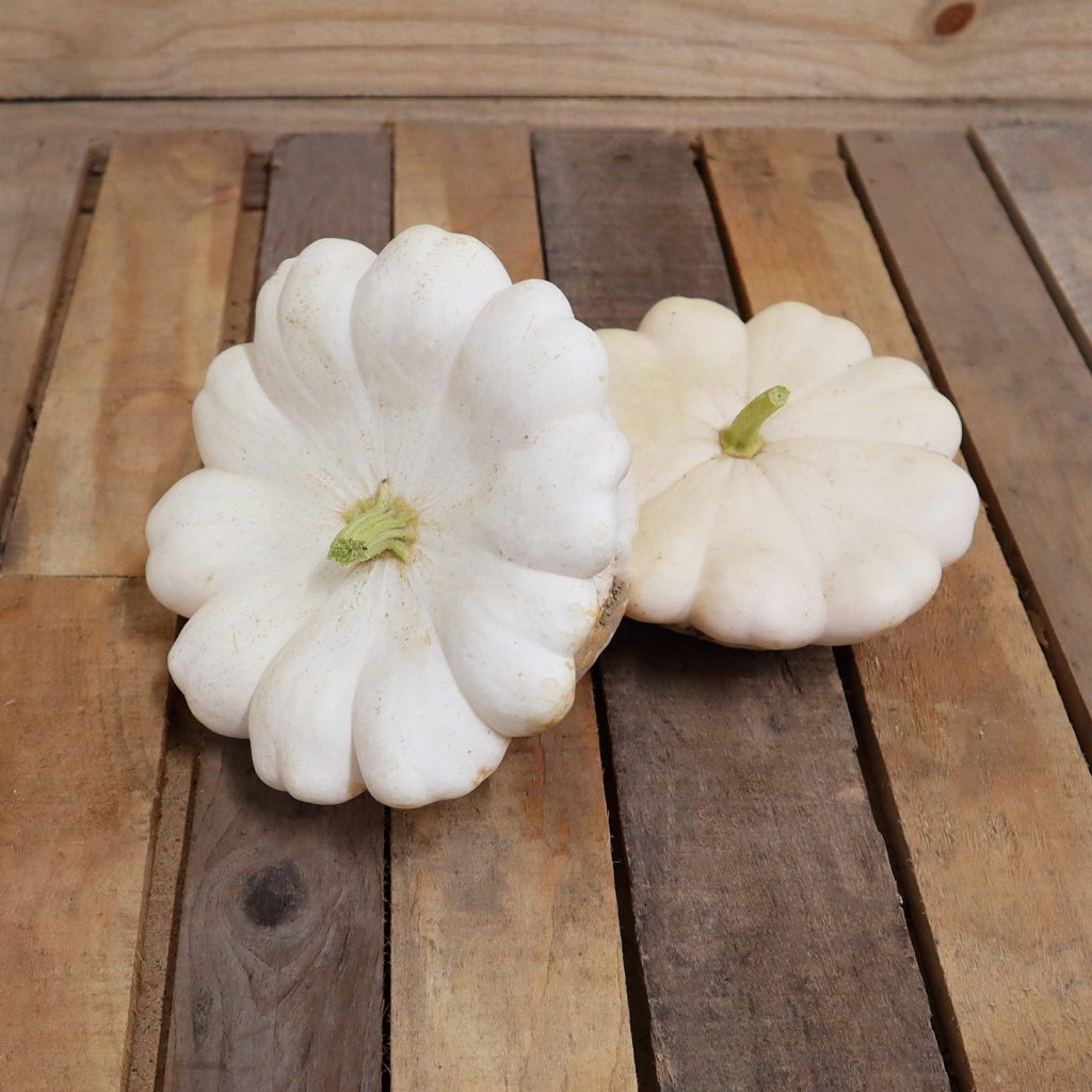 Courge Patisson - Graines d'ici