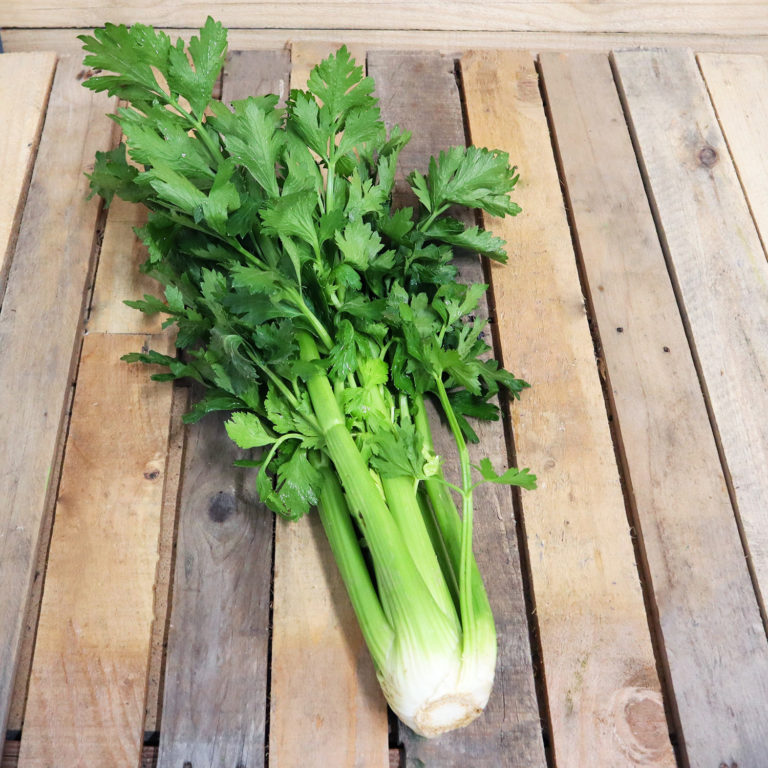 Céleri Branche - Graines d'ici