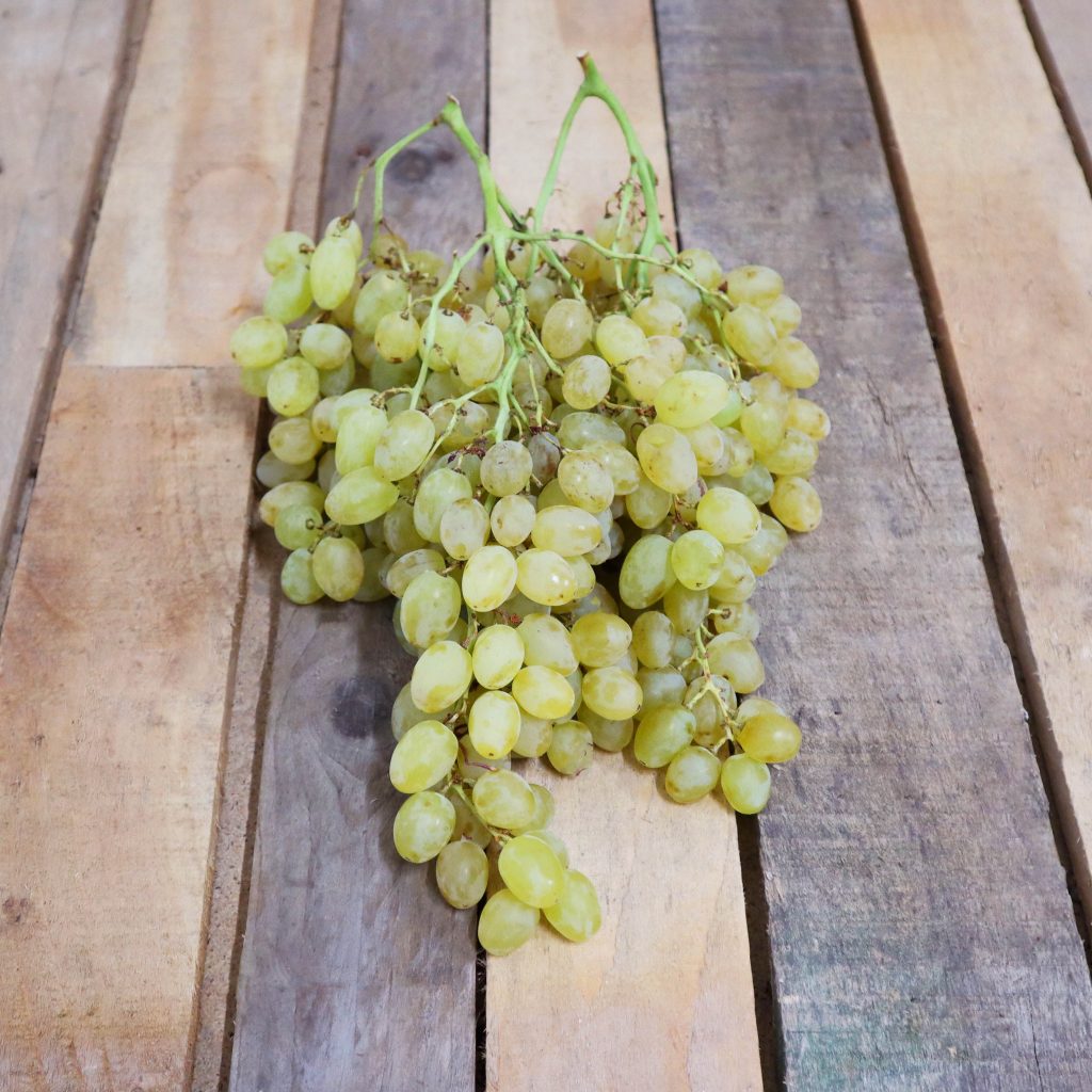 Raisin Centennial "sans pépins" - Graines d'ici