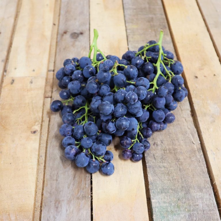 Raisin Ribol - Graines d'ici