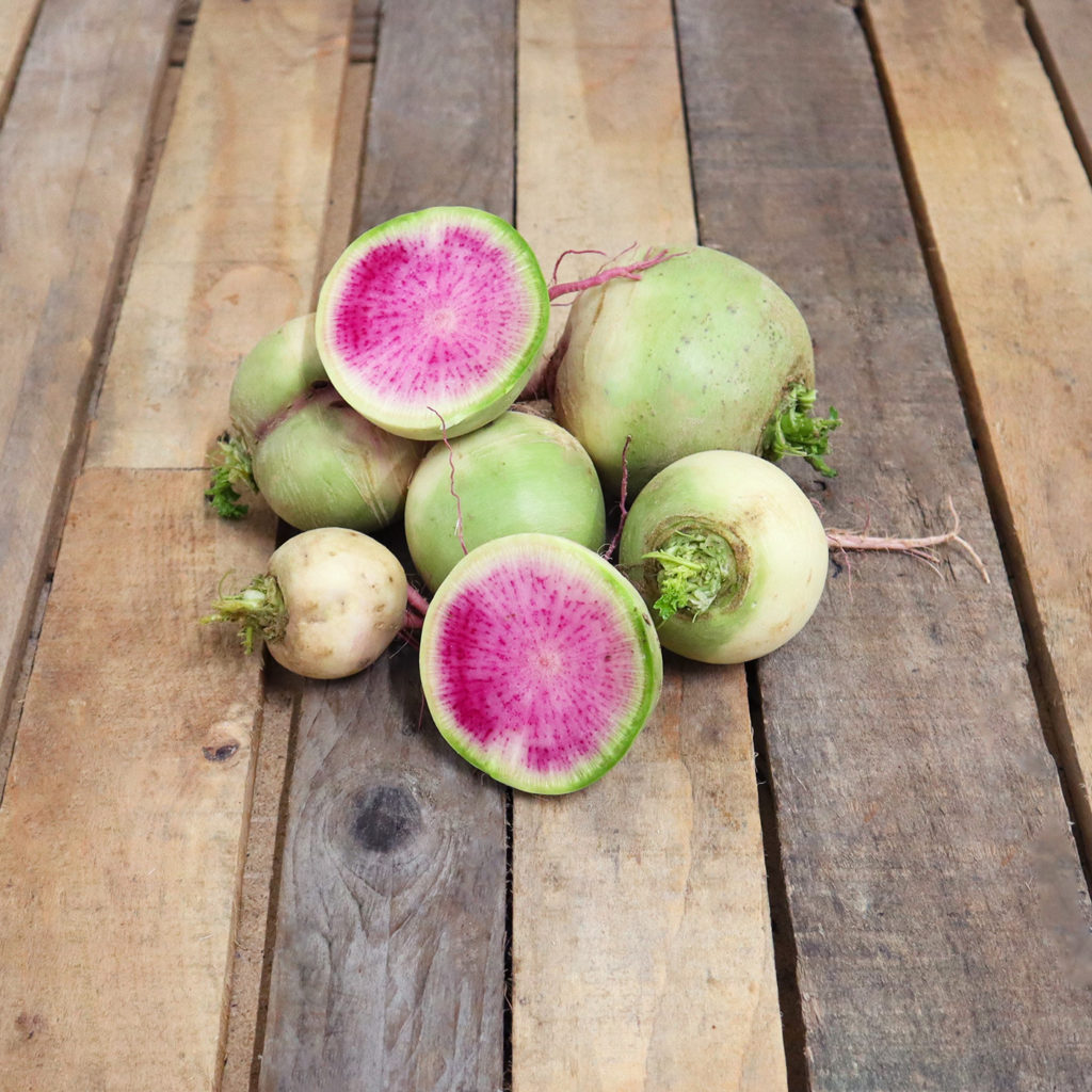 Radis Red Meat - Graines d'ici