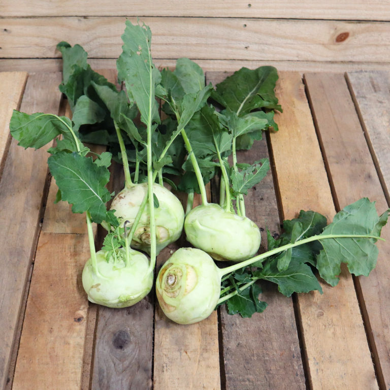 Chou rave vert - Graines d'ici