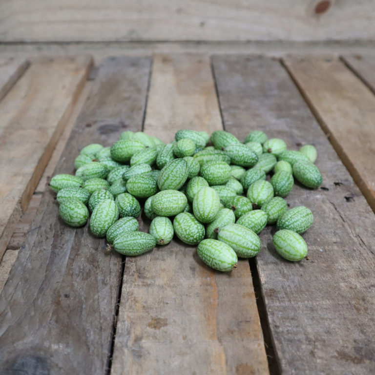 Concombre à confire - Graines d'ici