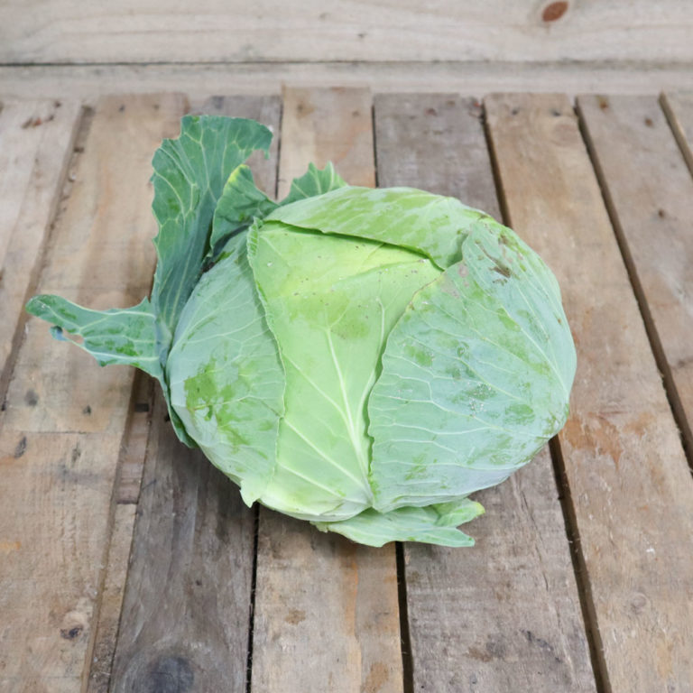 Choudou - Graines d'ici